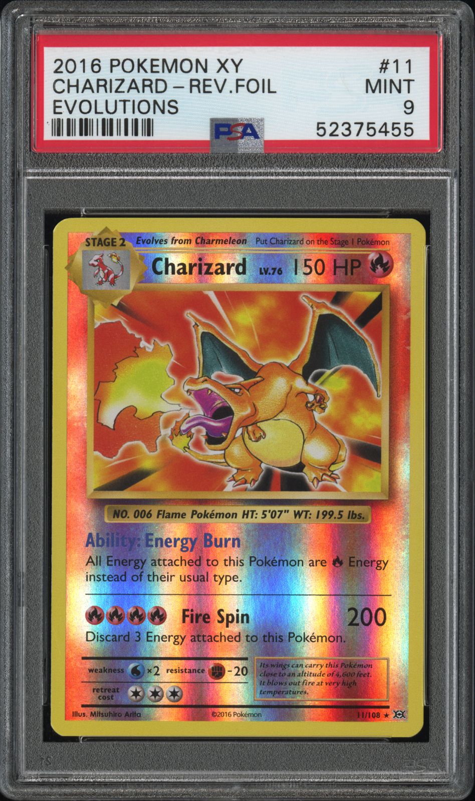 TCG - Pokemon Charizard Master Set : jnovak22 Set Image Gallery