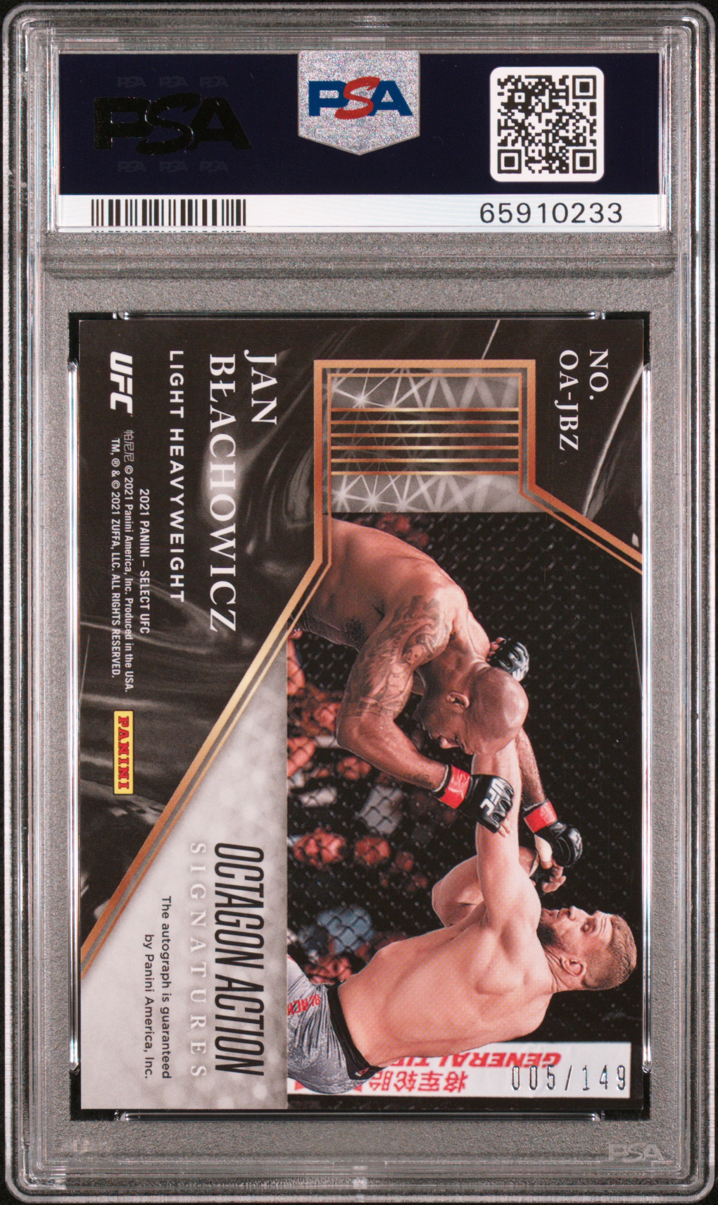 Modern (1981-present) Showcase Image Gallery: UFC Champions