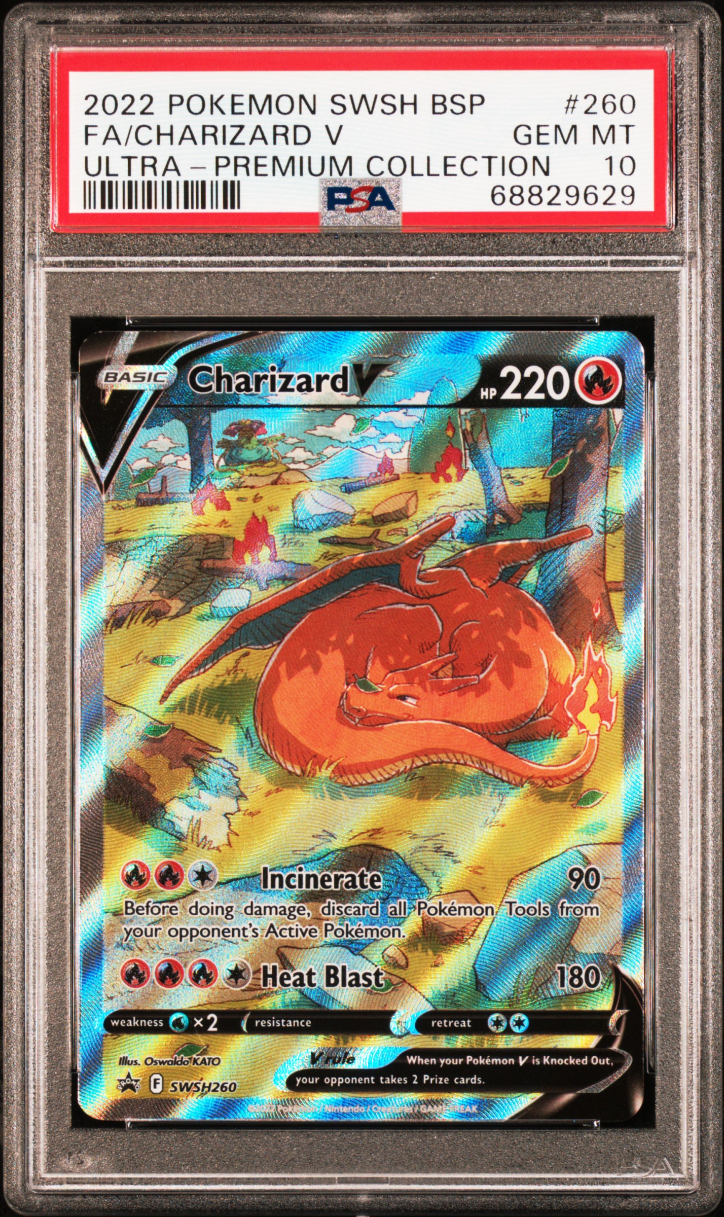 TCG - 2022 Pokemon SWSH Black Star Promo Ultra-Premium Collection ...