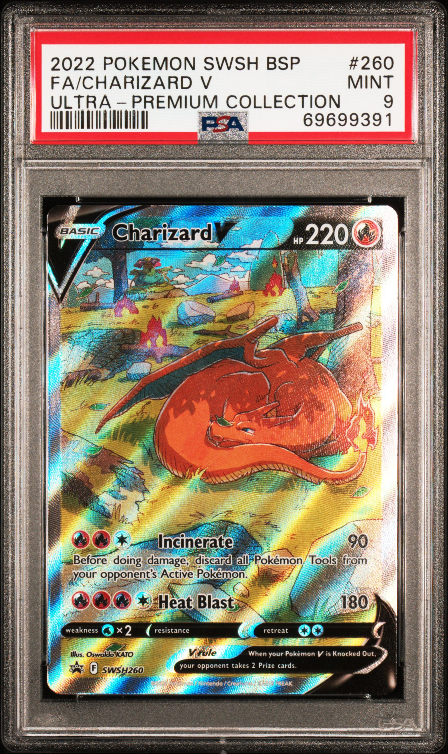TCG - 2022 Pokemon SWSH Black Star Promo Ultra-Premium Collection ...
