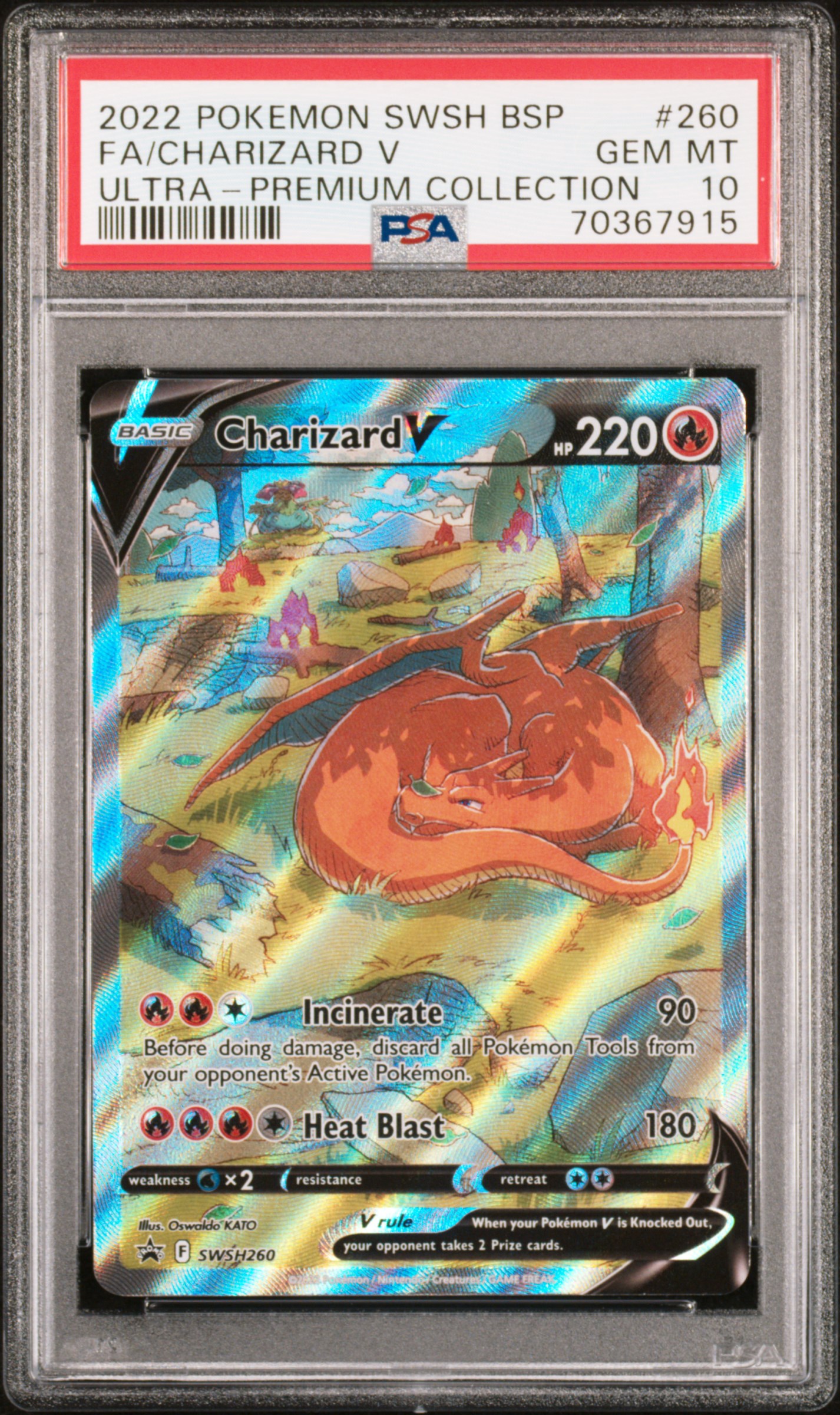 TCG - 2022 Pokemon SWSH Black Star Promo Ultra-Premium Collection ...