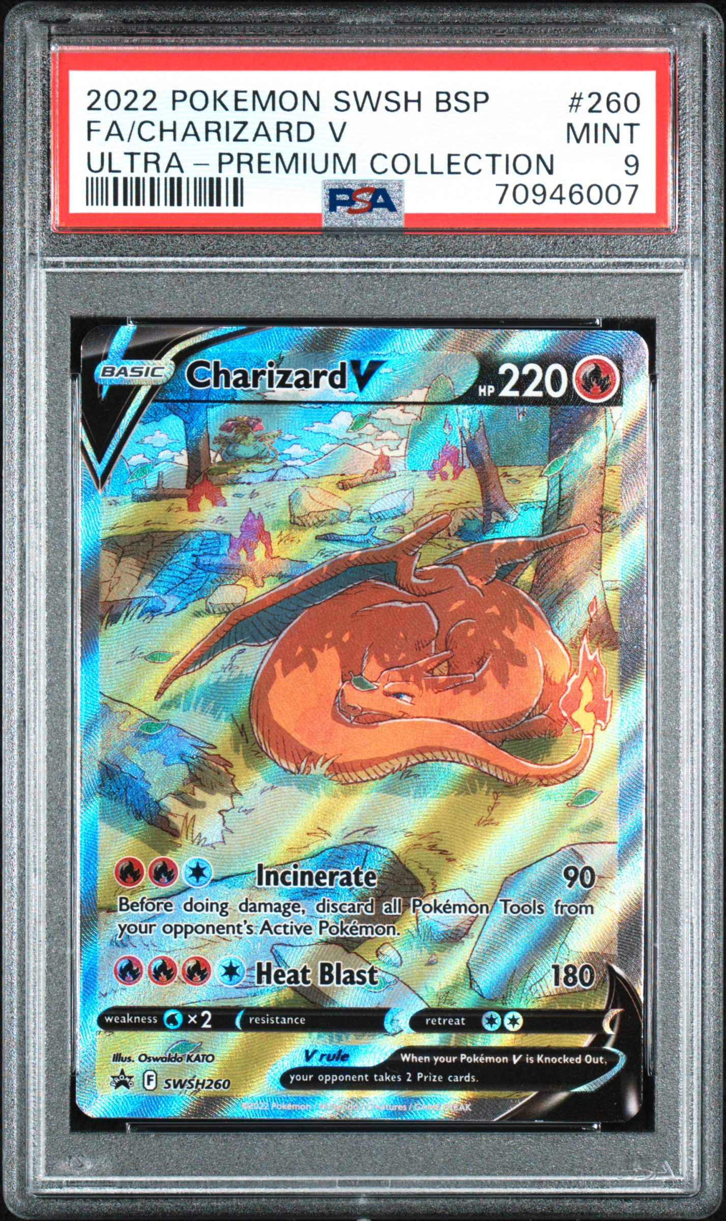 TCG - 2022 Pokemon SWSH Black Star Promo Ultra-Premium Collection ...