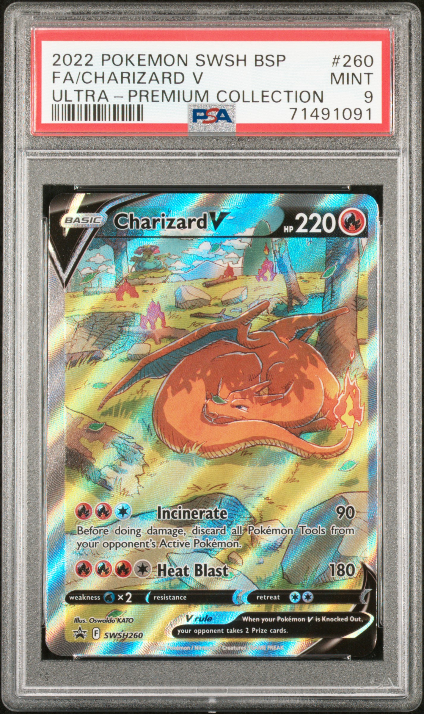 TCG - 2022 Pokemon SWSH Black Star Promo Ultra-Premium Collection ...
