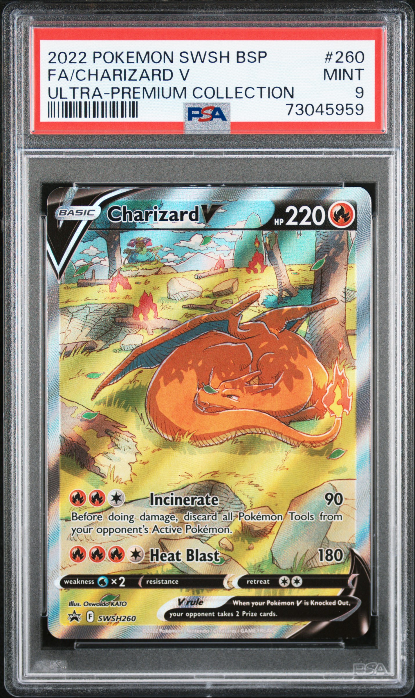 TCG - 2022 Pokemon SWSH Black Star Promo Ultra-Premium Collection ...
