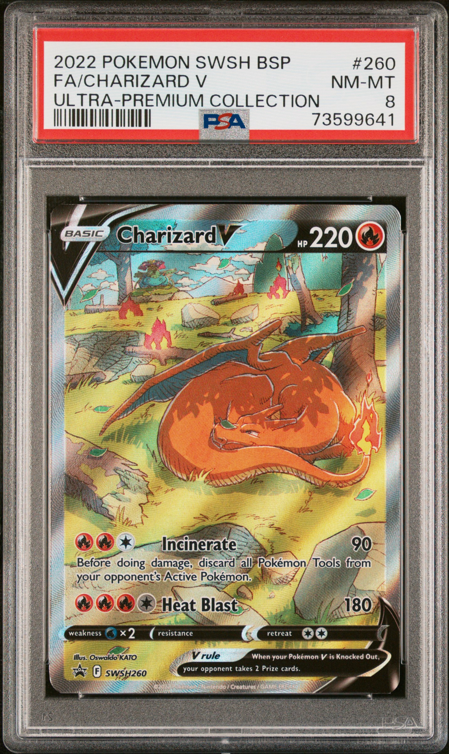 TCG - 2022 Pokemon SWSH Black Star Promo Ultra-Premium Collection ...