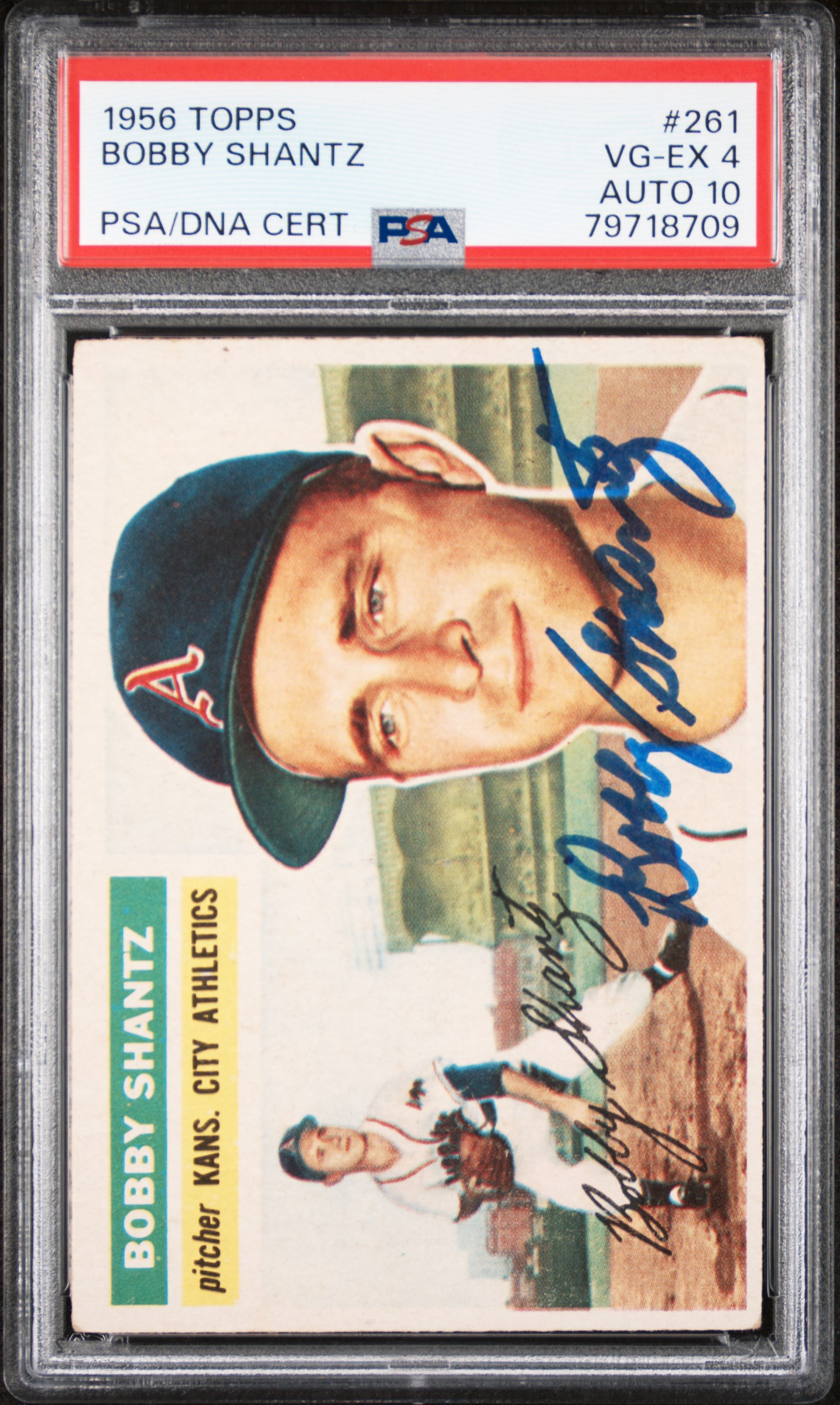 Baseball - 1956 Topps Autographs - Basic: vegsanity1976 Set Image Gallery