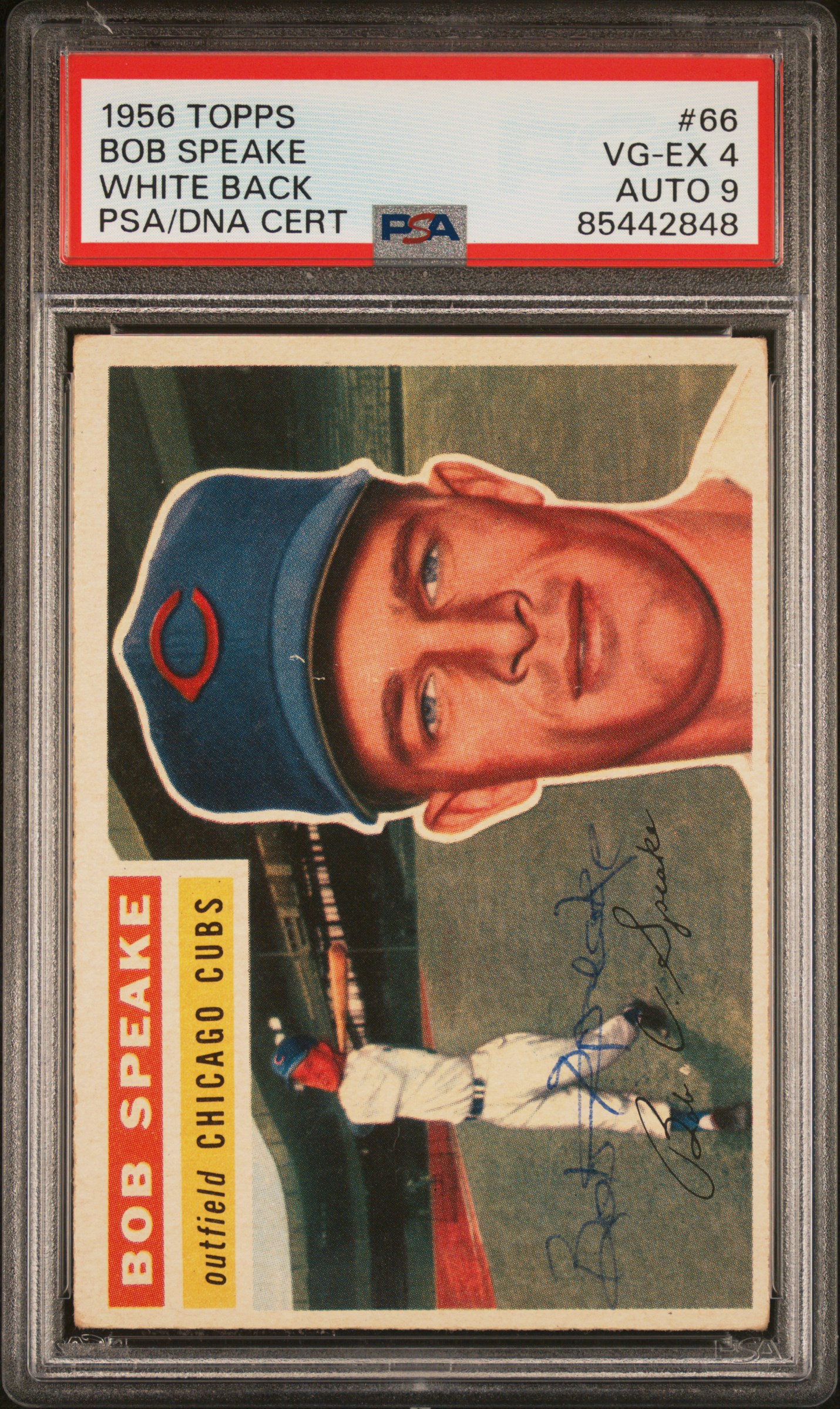 Baseball - 1956 Topps Autographs - Basic: vegsanity1976 Set Image Gallery
