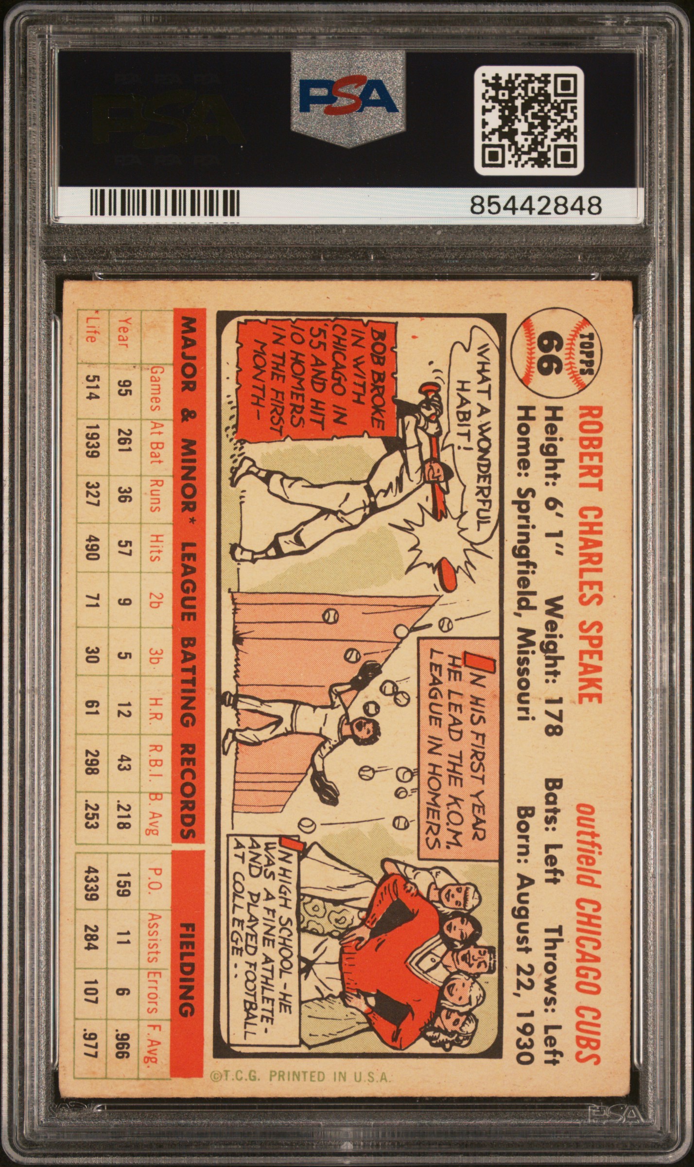 Baseball - 1956 Topps Autographs - Basic: vegsanity1976 Set Image Gallery