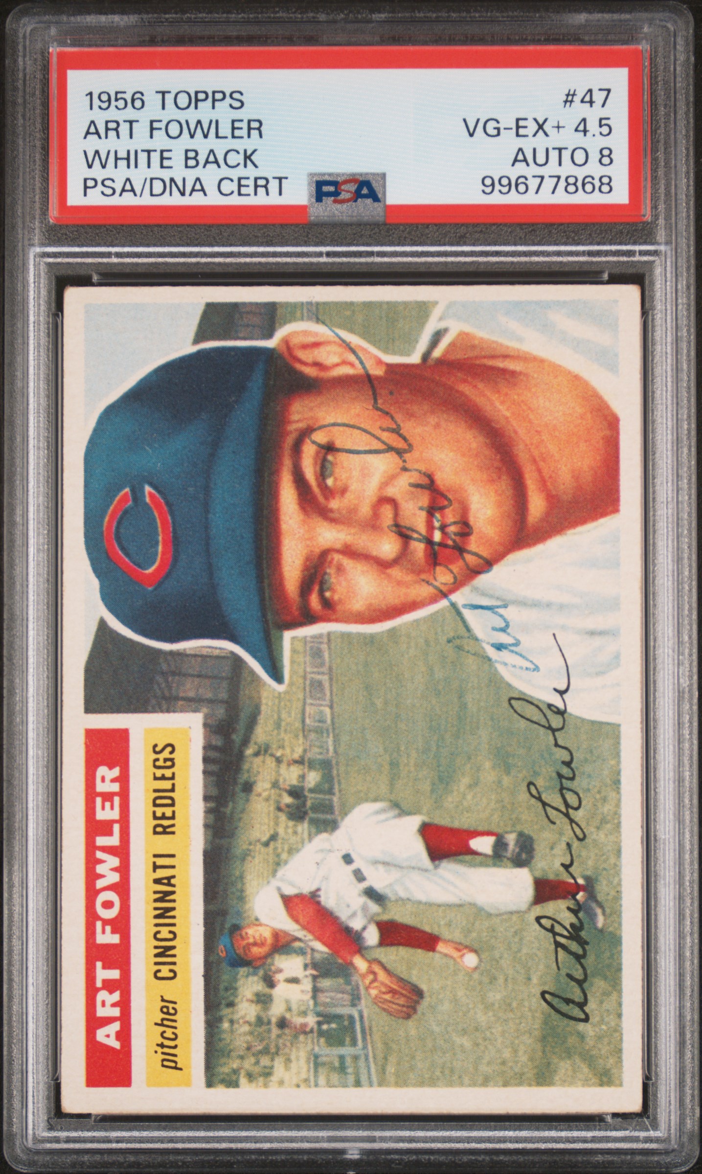 Baseball - 1956 Topps Autographs - Basic: vegsanity1976 Set Image Gallery