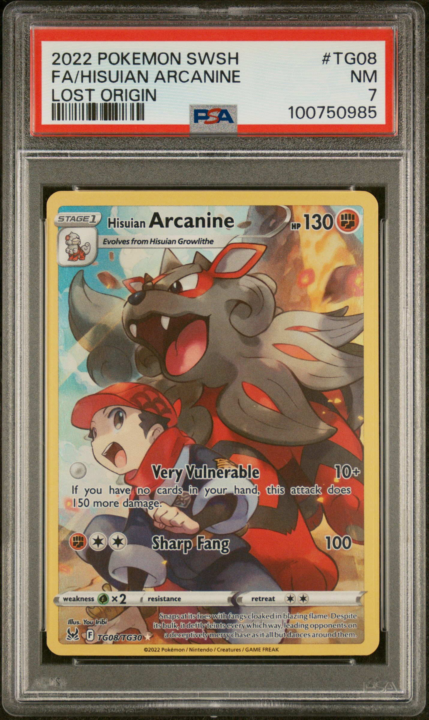 TCG - Pokemon Arcanine Master Set: Arcanine Master Set Set Image Gallery