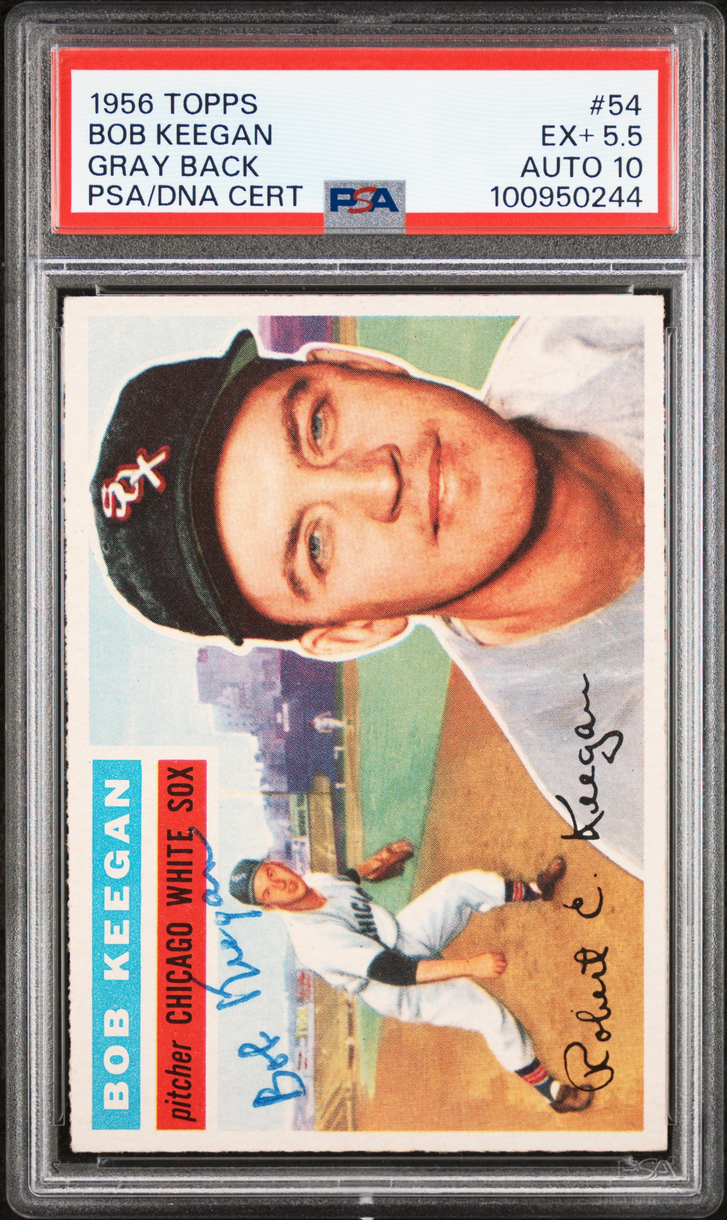 Baseball - 1956 Topps Autographs - Basic: vegsanity1976 Set Image Gallery