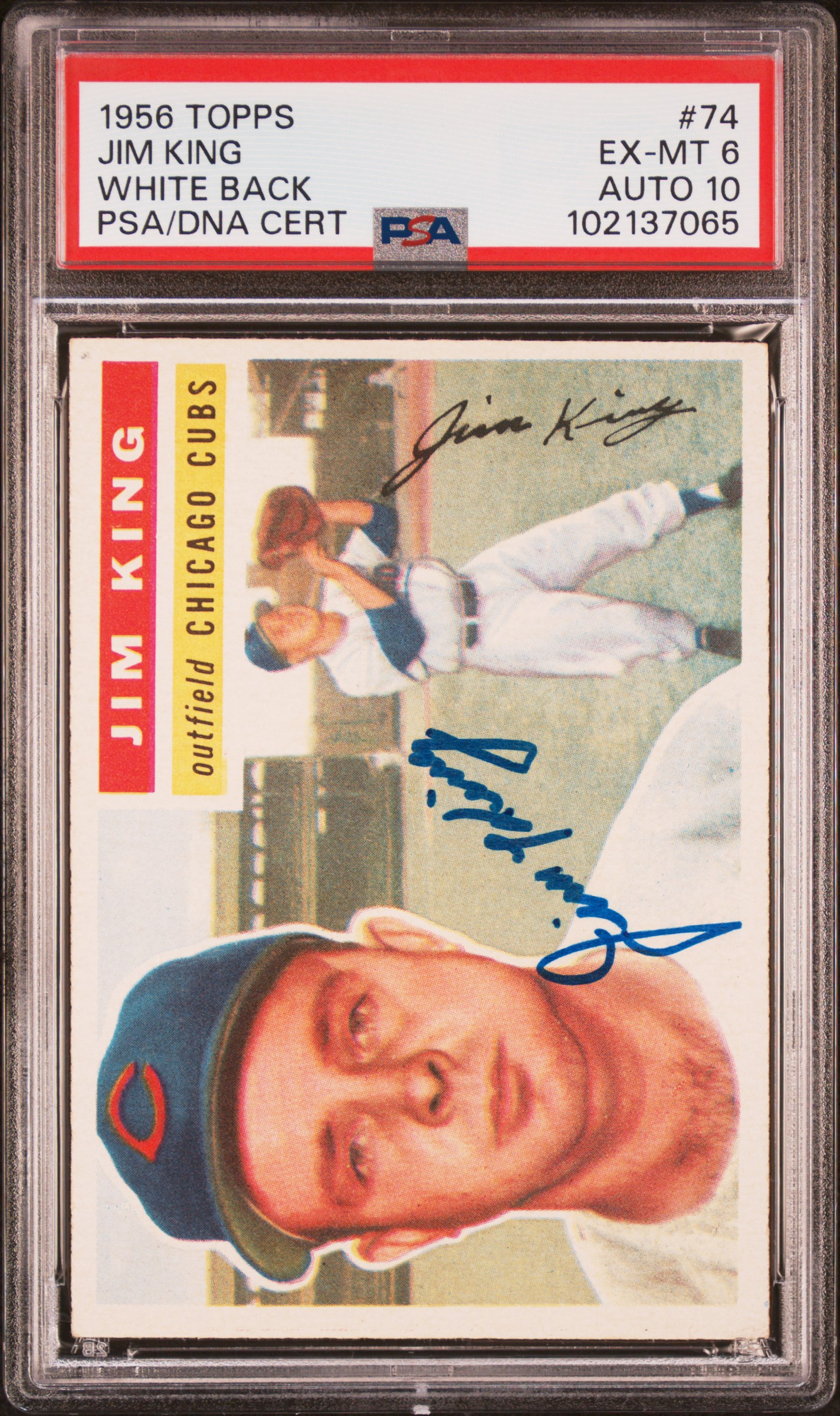 Baseball - 1956 Topps Autographs - Basic: vegsanity1976 Set Image Gallery