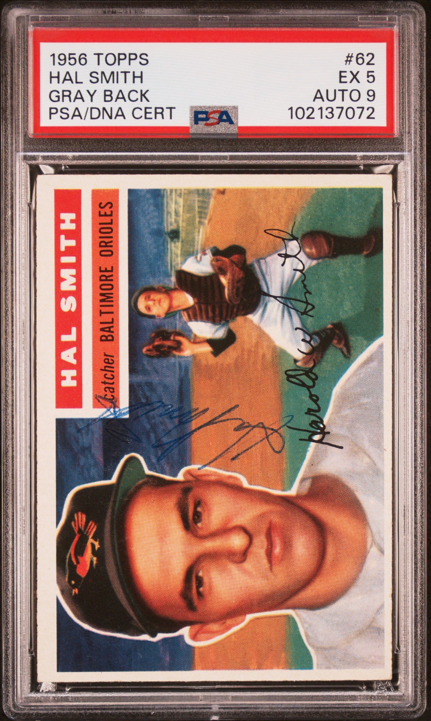 Baseball - 1956 Topps Autographs - Basic: vegsanity1976 Set Image Gallery