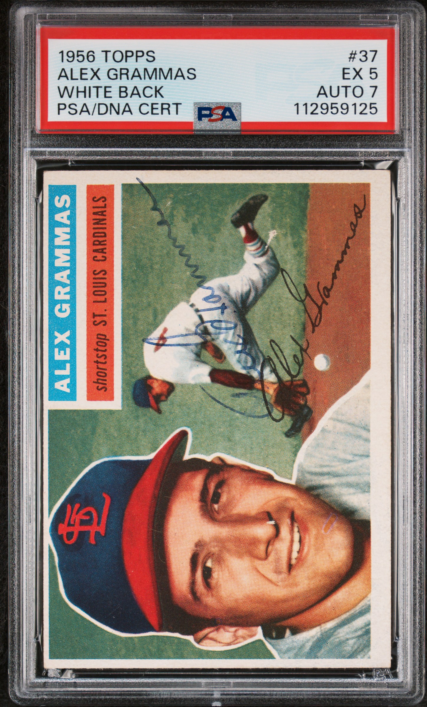 Baseball - 1956 Topps Autographs - Basic: vegsanity1976 Set Image Gallery