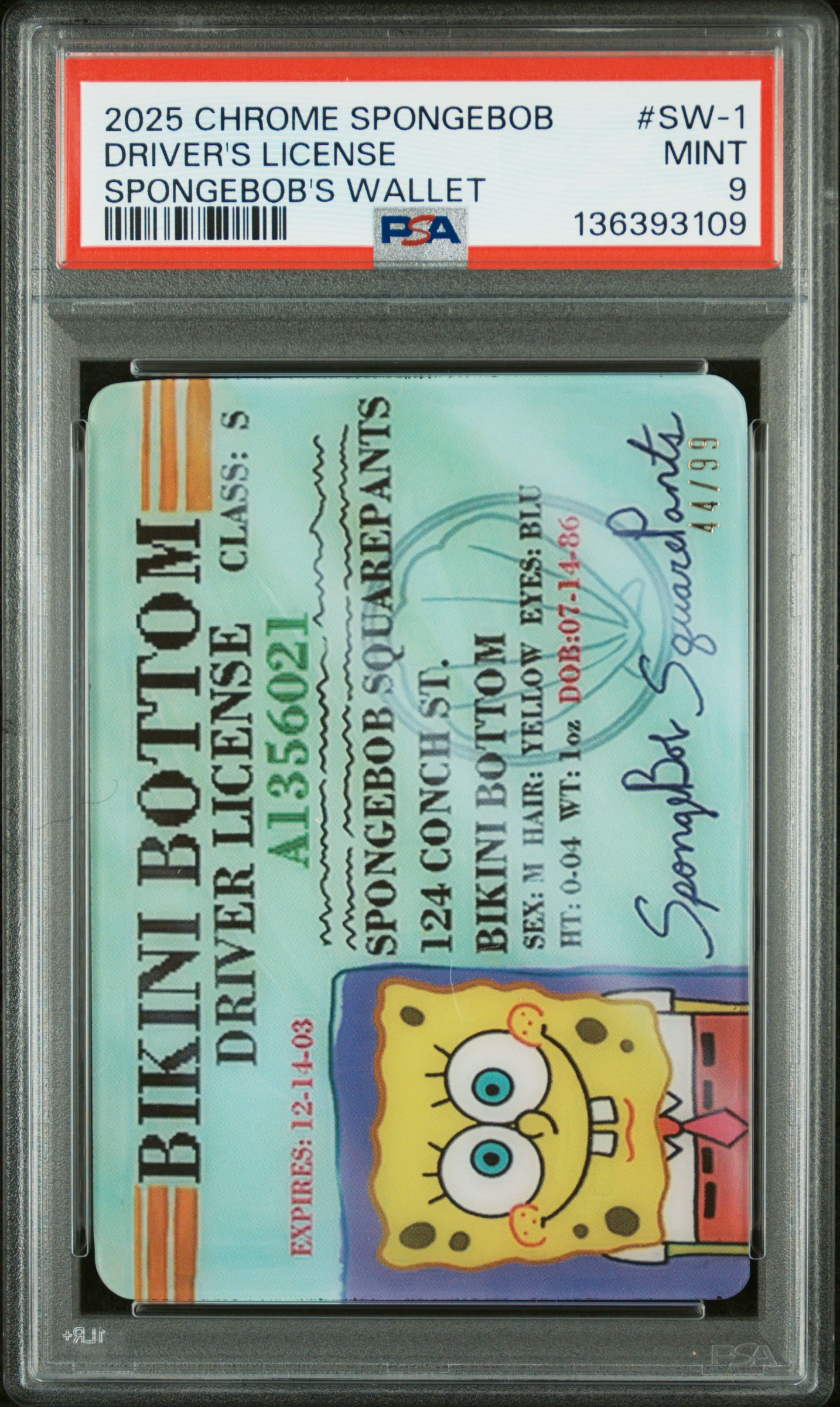 2025 DRIVER'S LICENSE TOPPS CHROME SPONGEBOB 25TH ANNIVERSARY SPONGEBOB ...