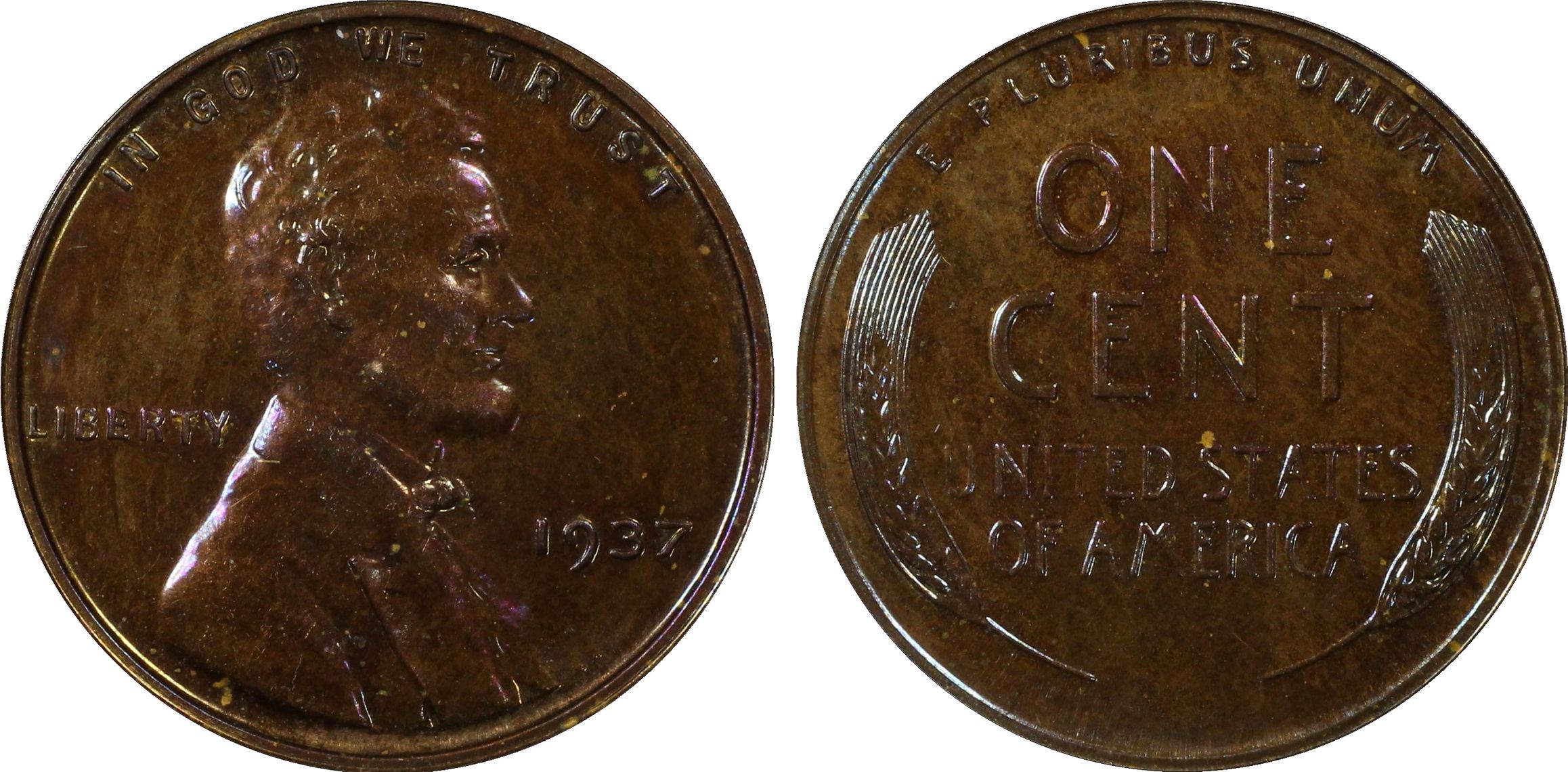 PCGS Certificate Verification Coin Details for Cert #24135700