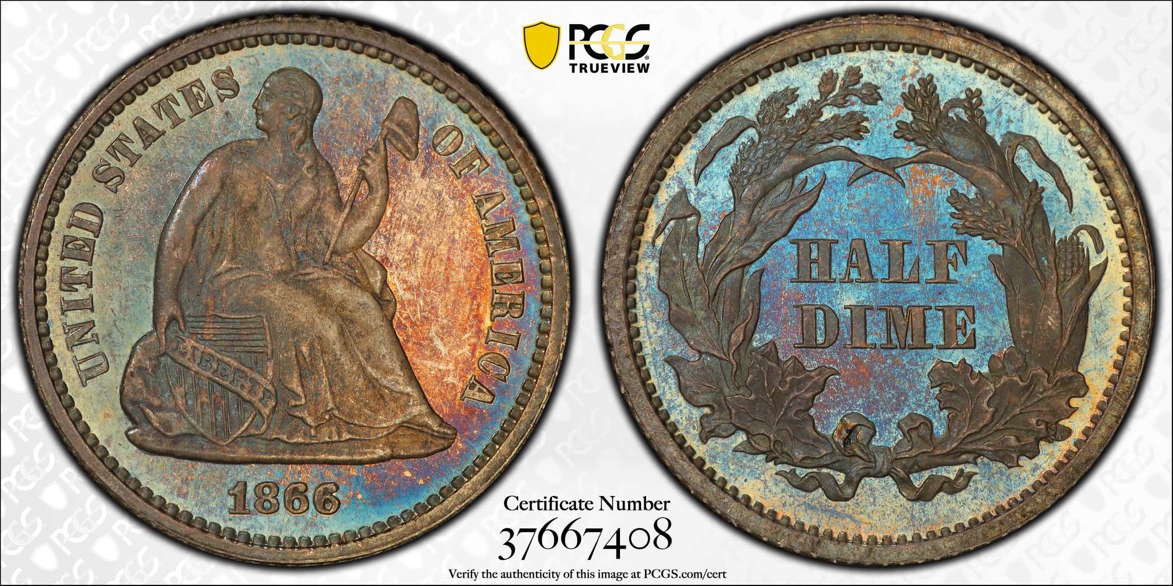 PCGS Certificate Verification Coin Details for Cert #37667408