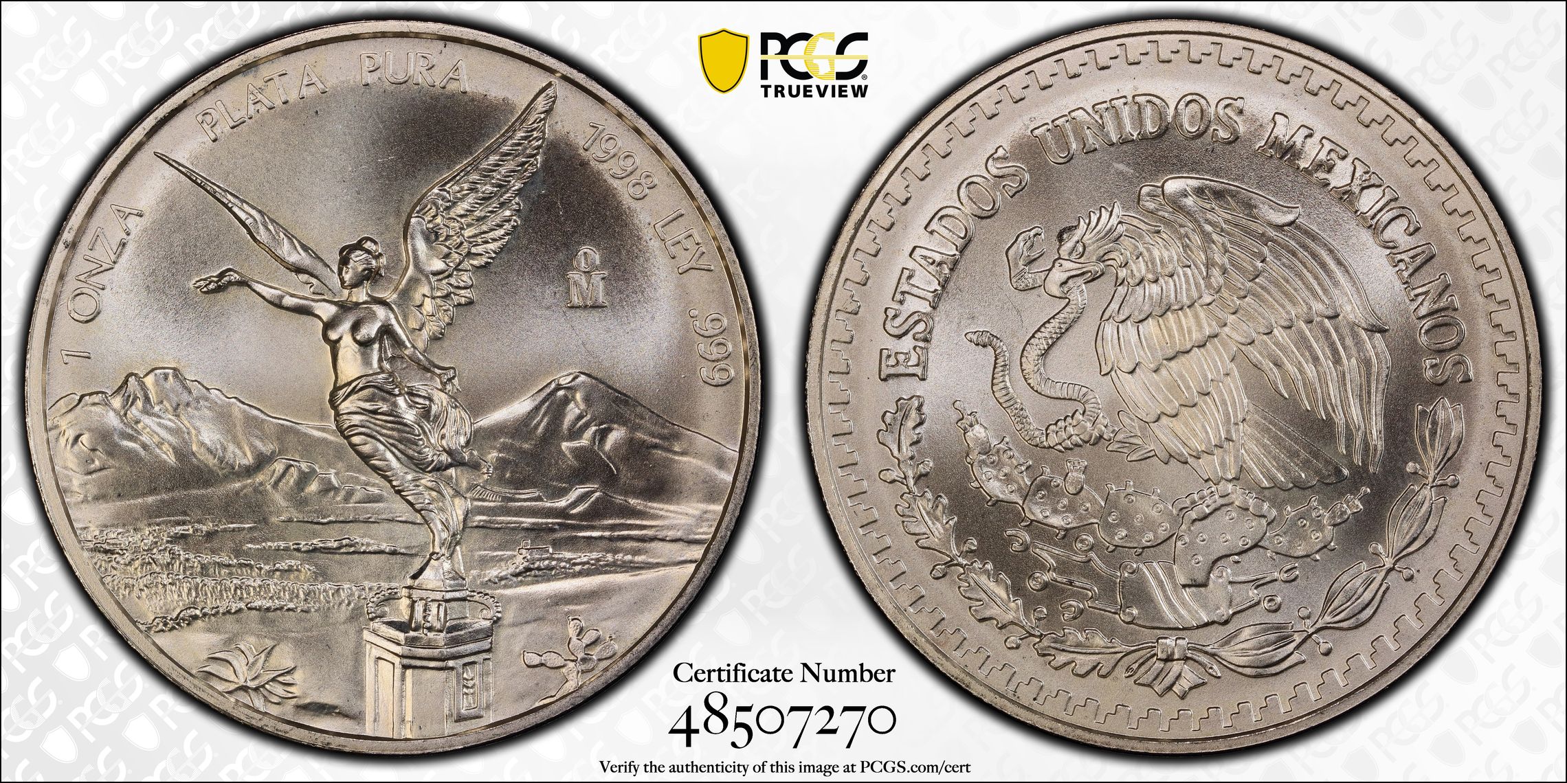 PCGS Certificate Verification Coin Details for Cert #48507270