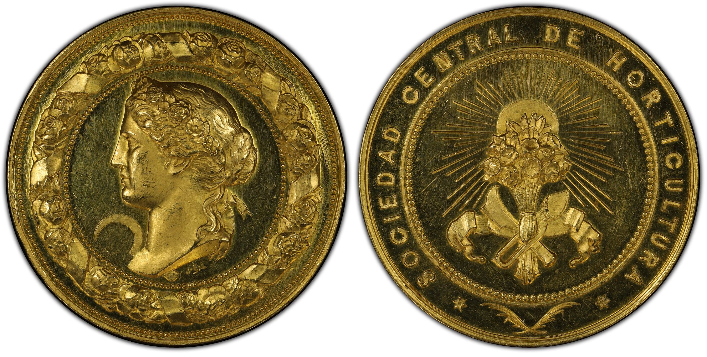 PCGS Certificate Verification Coin Details for Cert #49756626